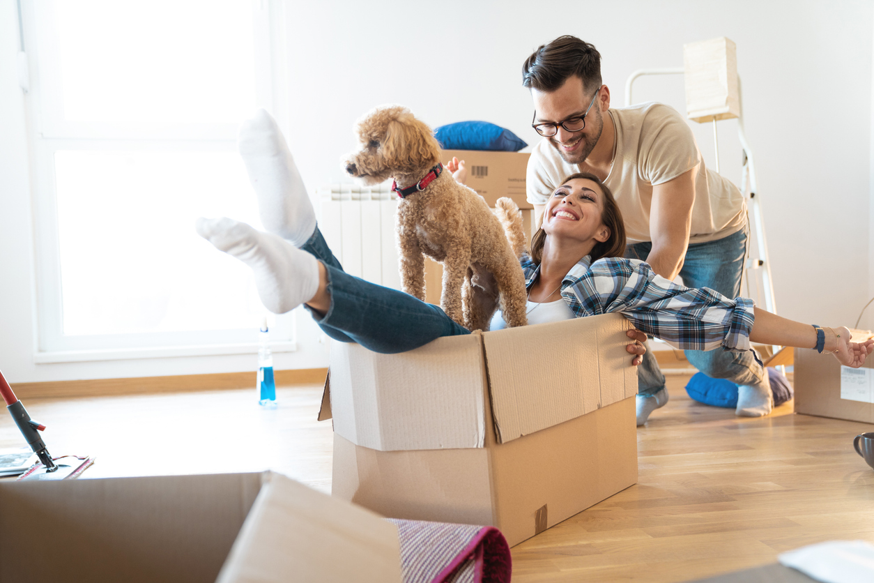 Great Packing Tips for Moving Property - The Purple Property Shop